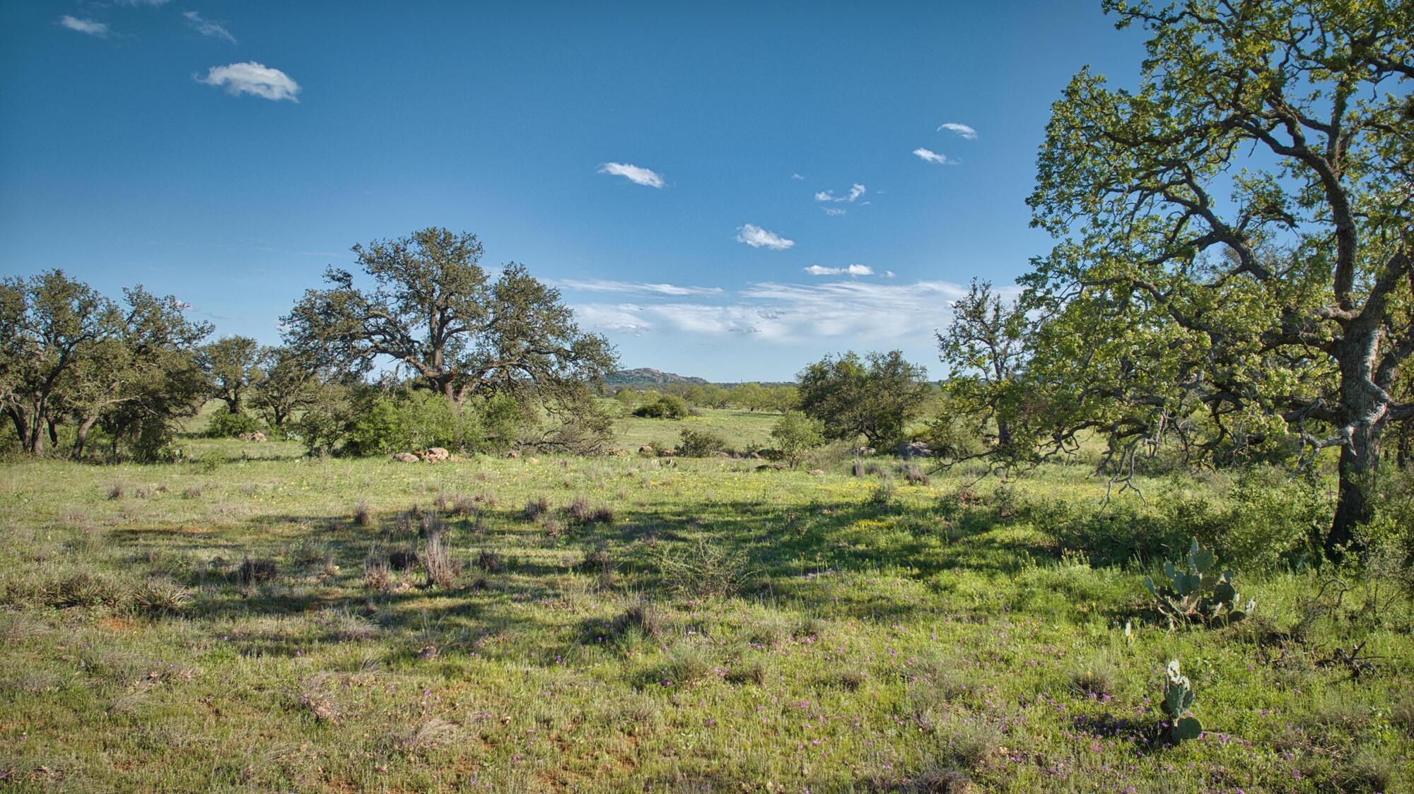 30 acres | Hickory Grove Rd | Mason, TX – Lehmberg Realty